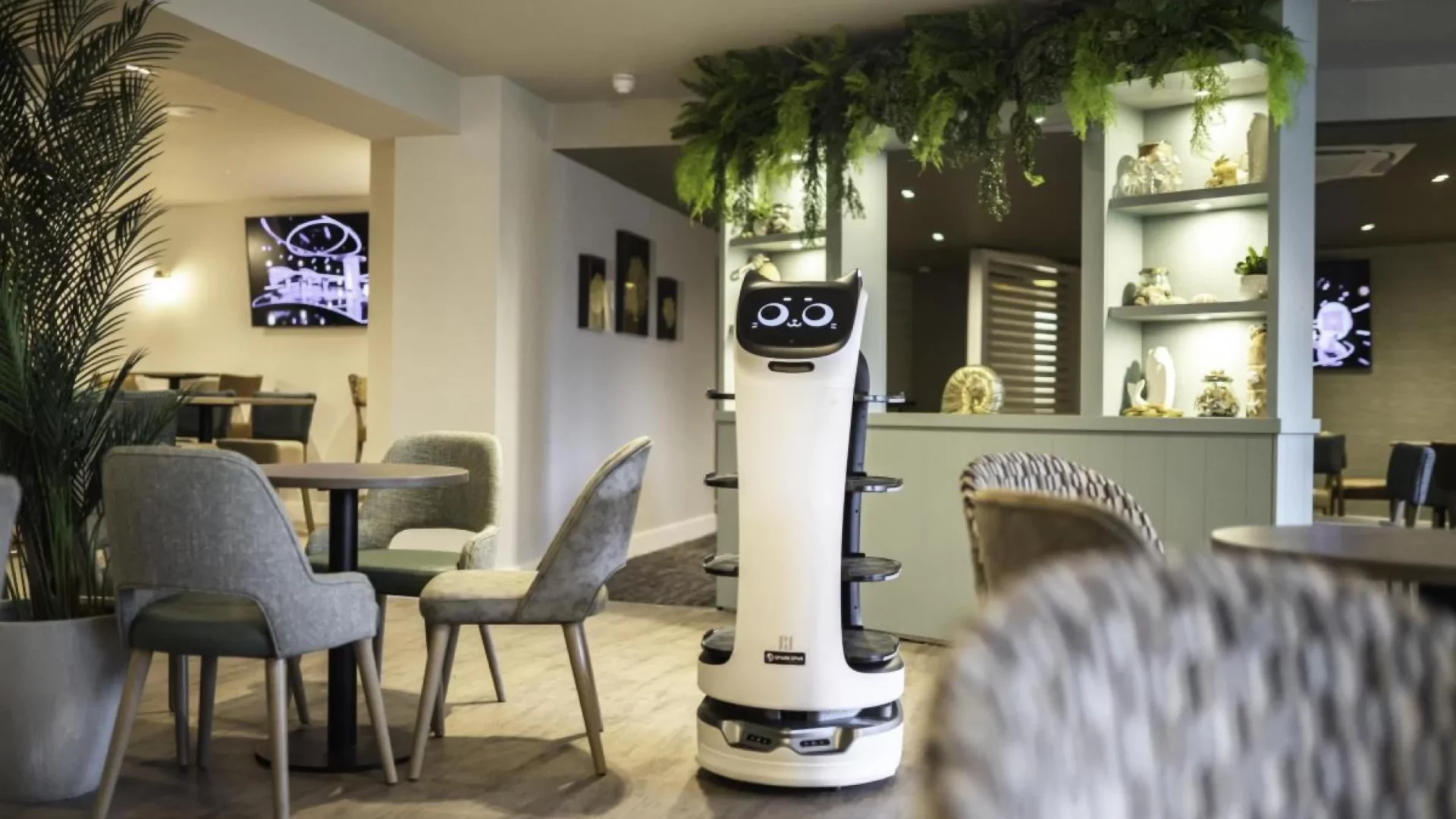SPARK Robotics - Elevate Your Business with Intelligent Robots